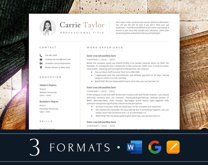 Modern Executive Resume Template 2021 for Word, Google Docs, Mac Pages ...