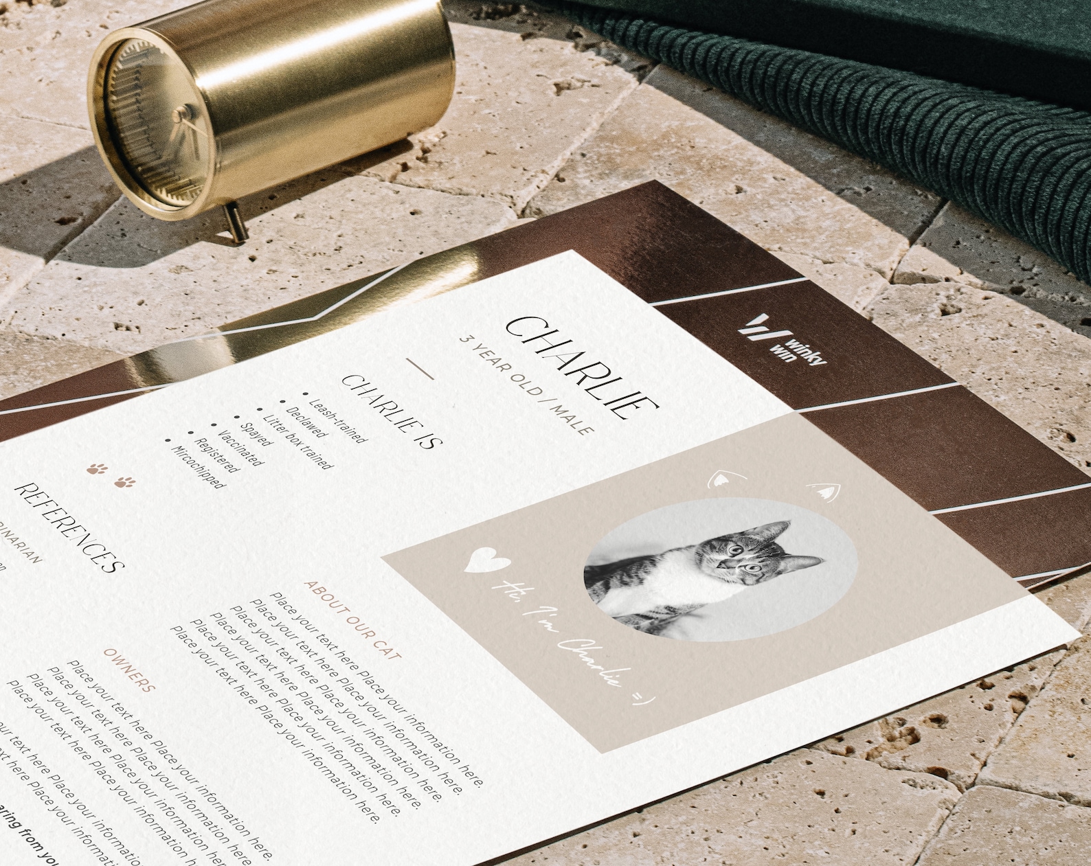 Cat Resume for Rental Writing Cat Bios Cat Adoption Ads Cat - Etsy