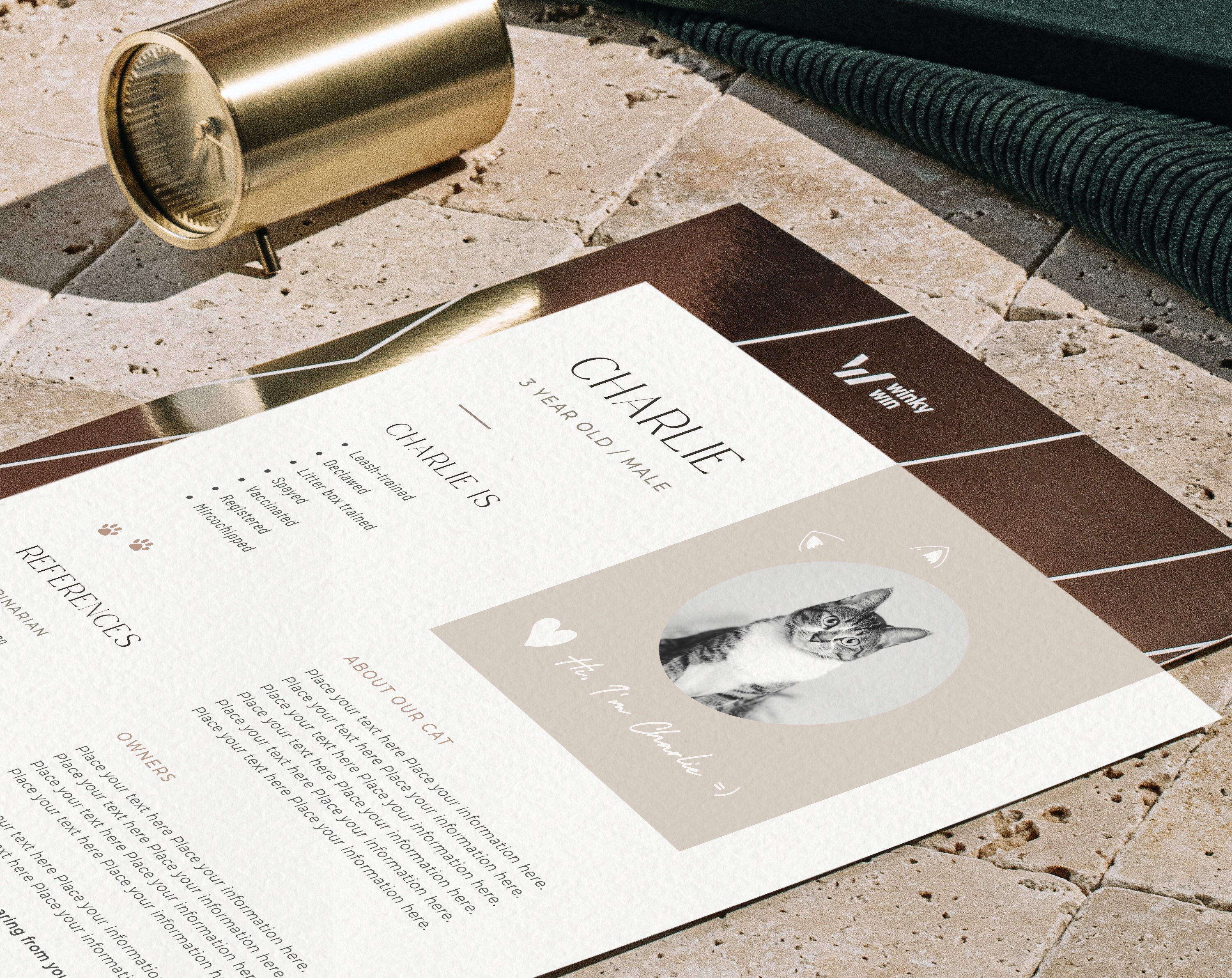 Cat Resume for Rental Writing Cat Bios Cat Adoption Ads Cat - Etsy