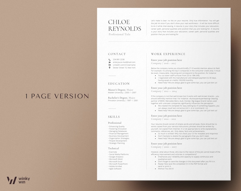 Cv Template Mac Pages and MS Word, Compact Resume Layout, 1 Page Resume ...
