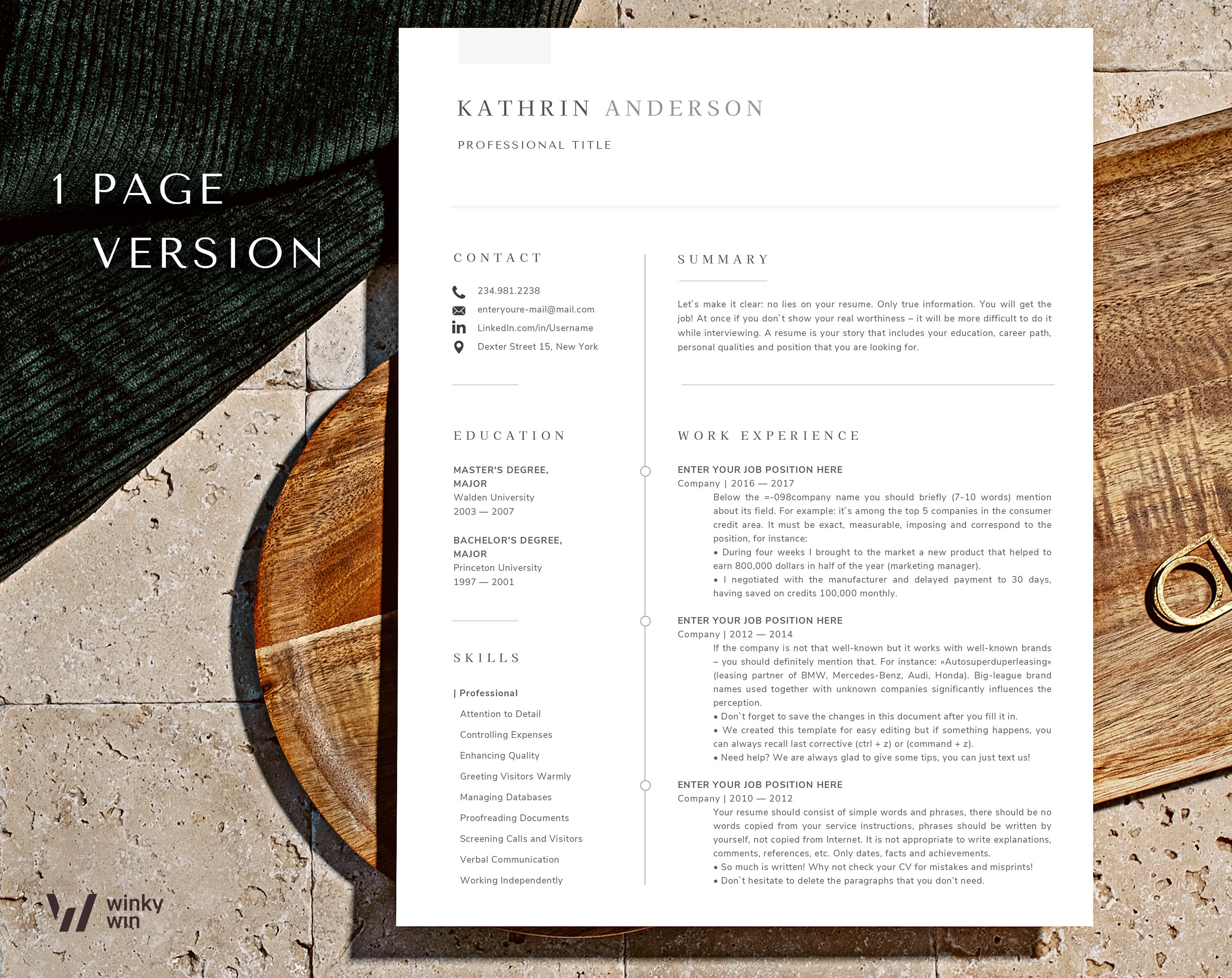 Easy to Edit Professional Resume Template, User Friendly Resume Designs ...