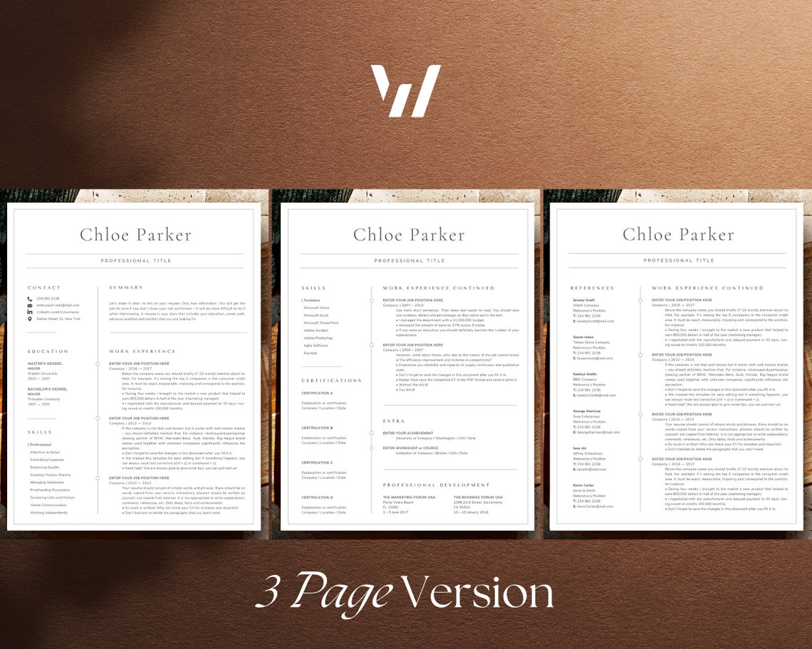 Best Resume Template 2025, Cv Template Professional Resume Word ...