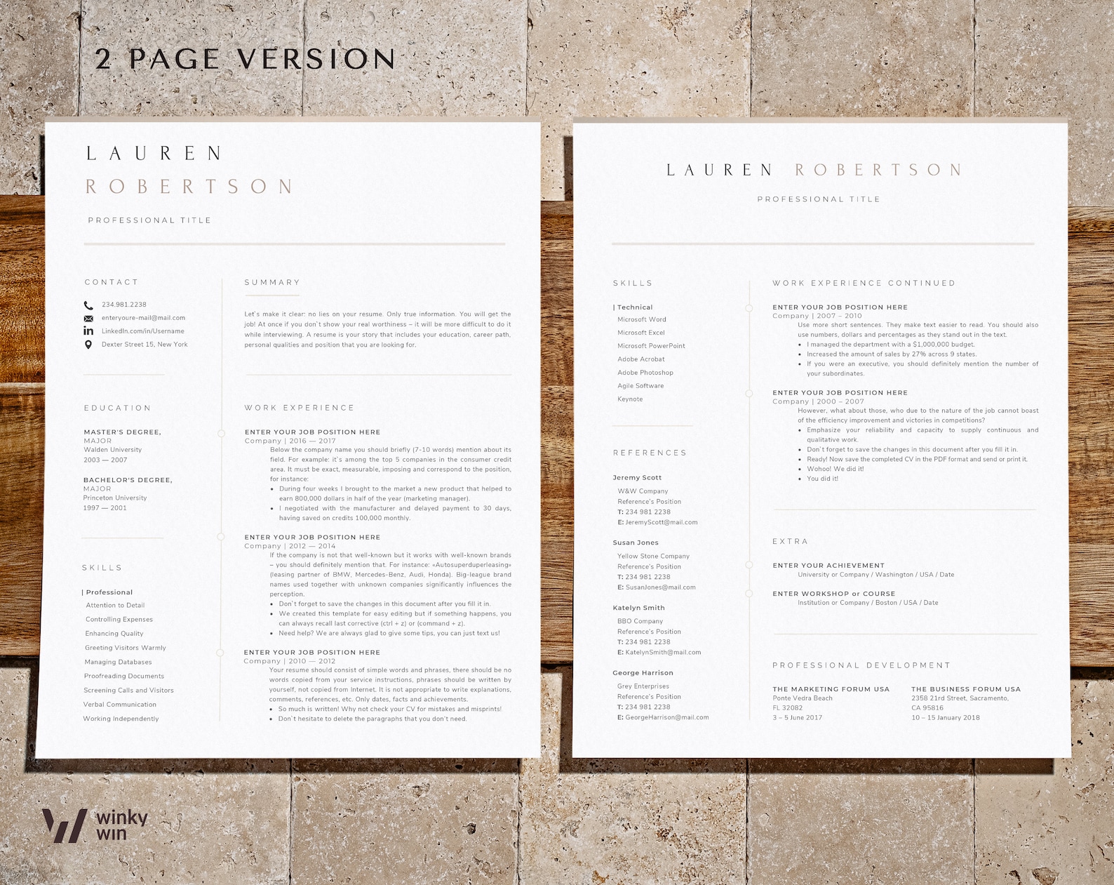 C Level Resume Template Word + Apple Pages, Professional Director ...