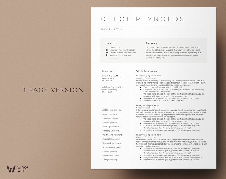 Modern Resume Template Apple Pages + MS Word, Cv Template With Summary ...