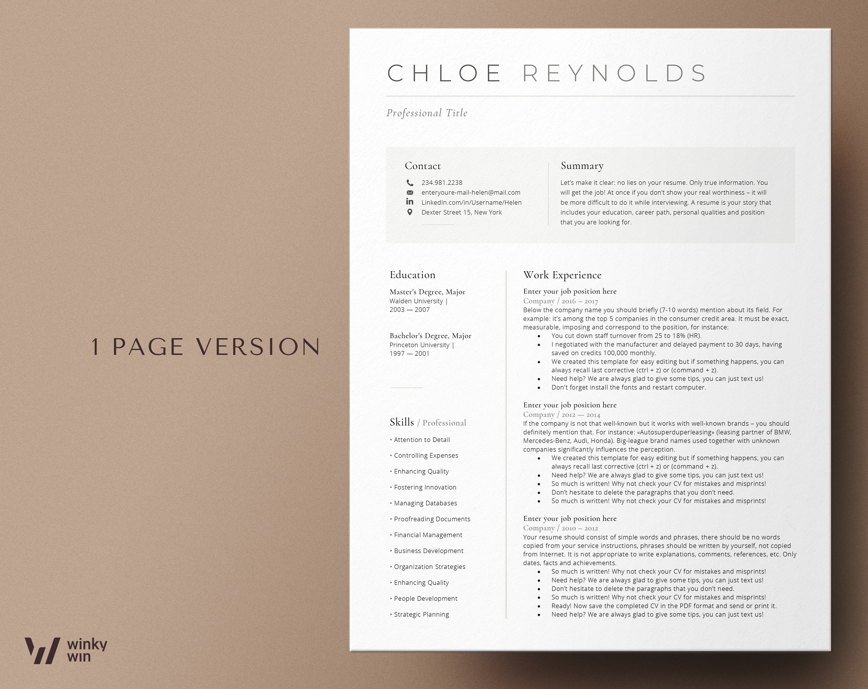 Modern Resume Template Apple Pages + MS Word, Cv Template With Summary ...