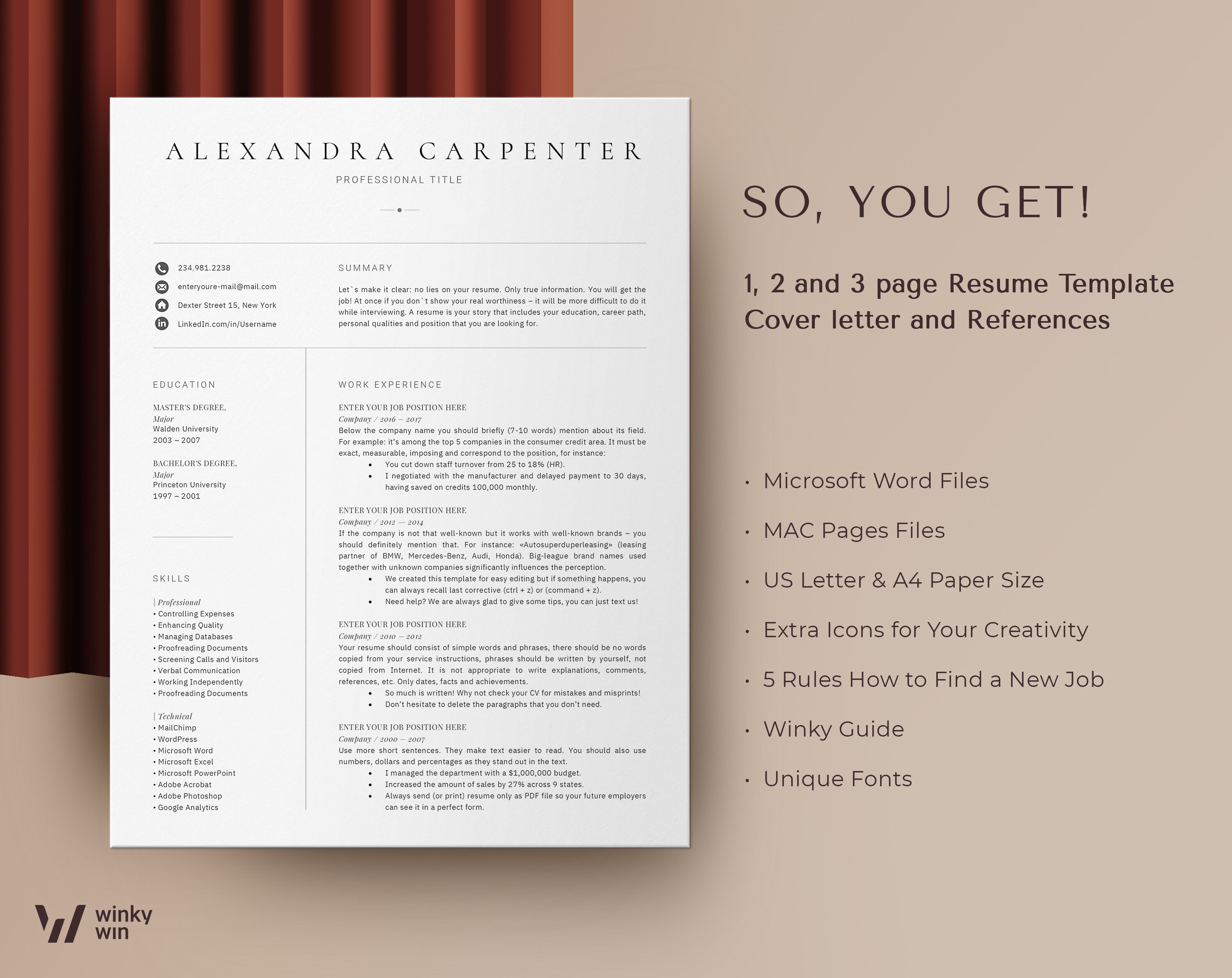 Basic Resume Template Traditional, Classic Resume Layout Classy Cv ...