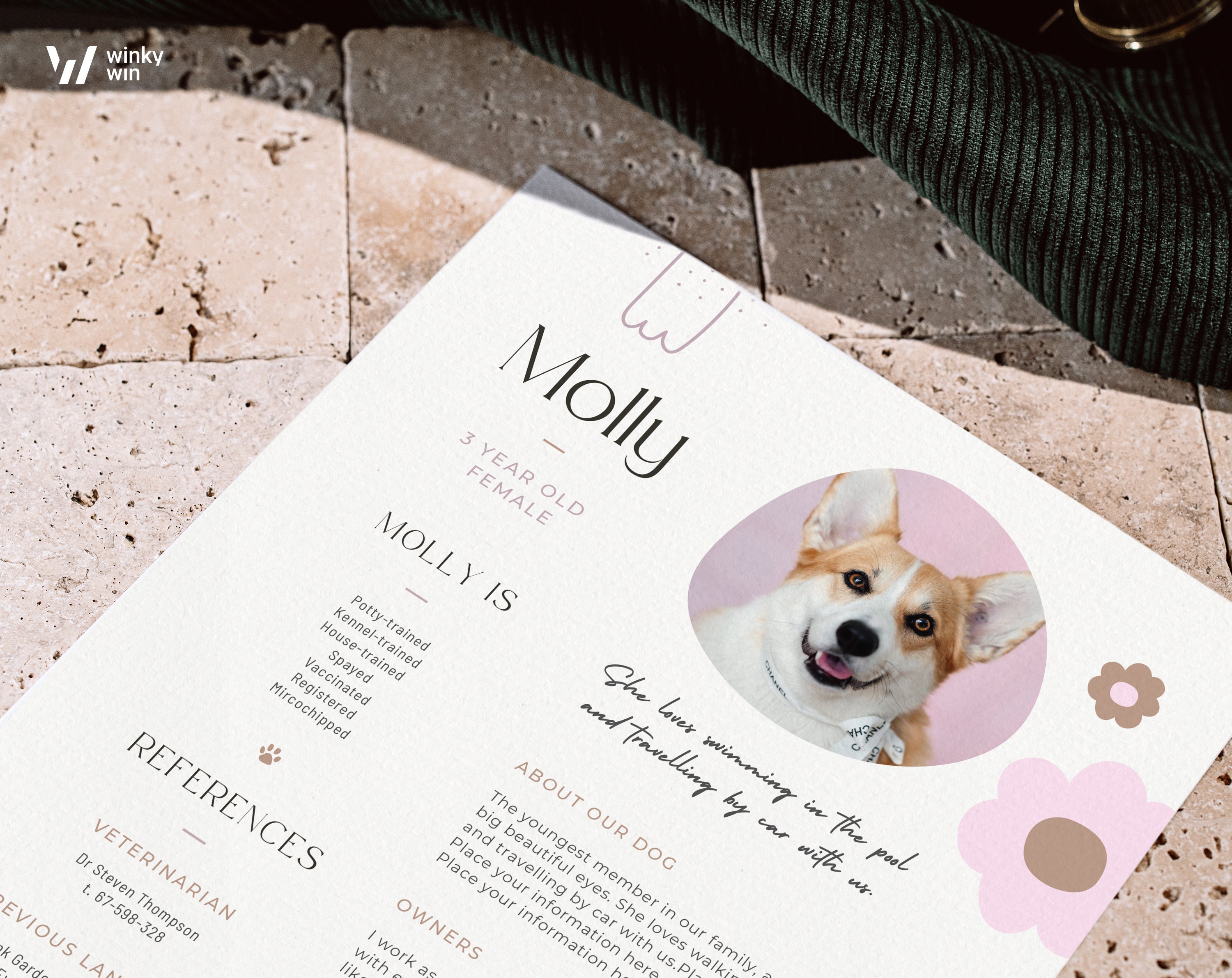 Corgi Resume Profile Dog Portfolio Rental Application - Etsy