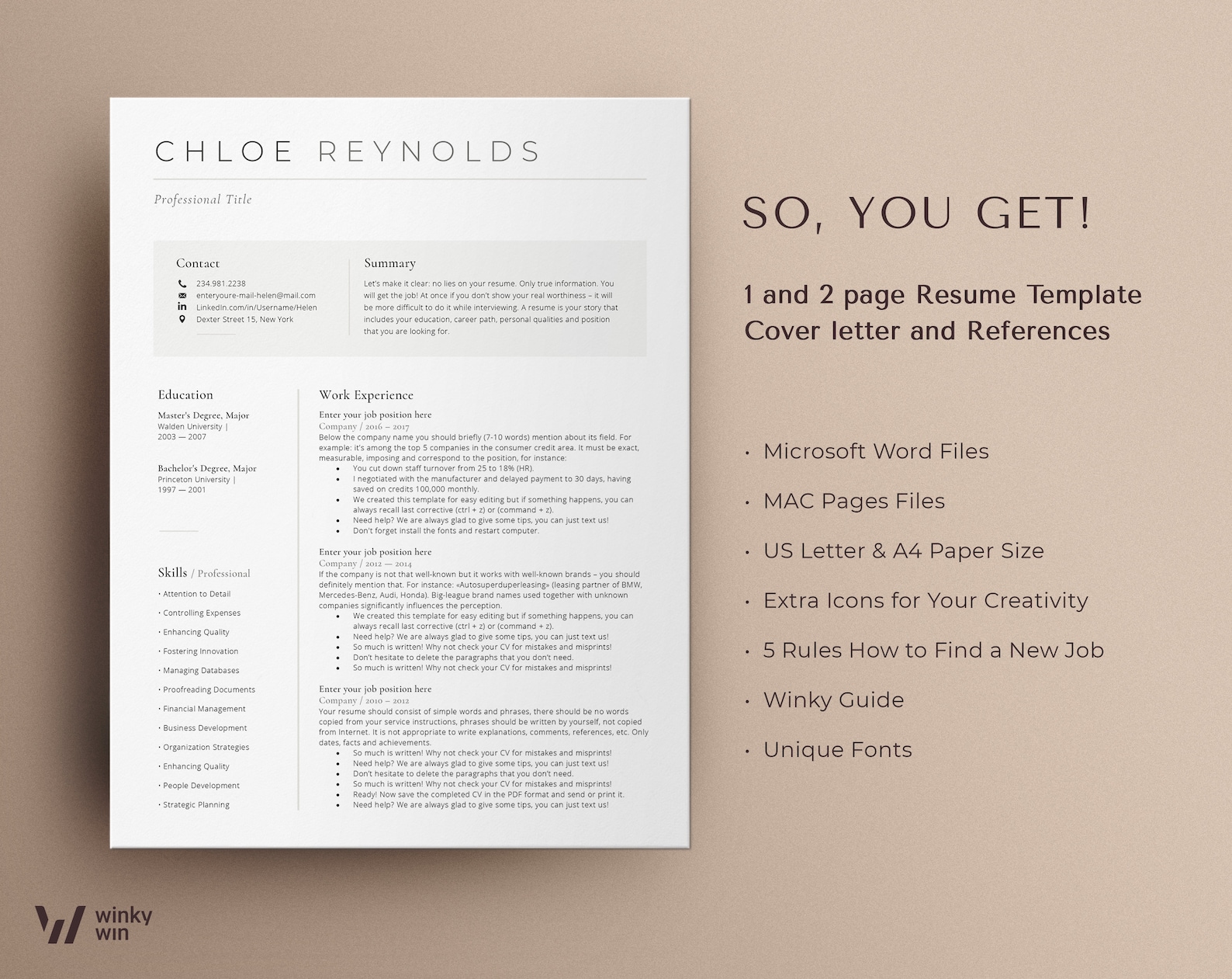 Modern Resume Template Apple Pages + MS Word, Cv Template With Summary ...