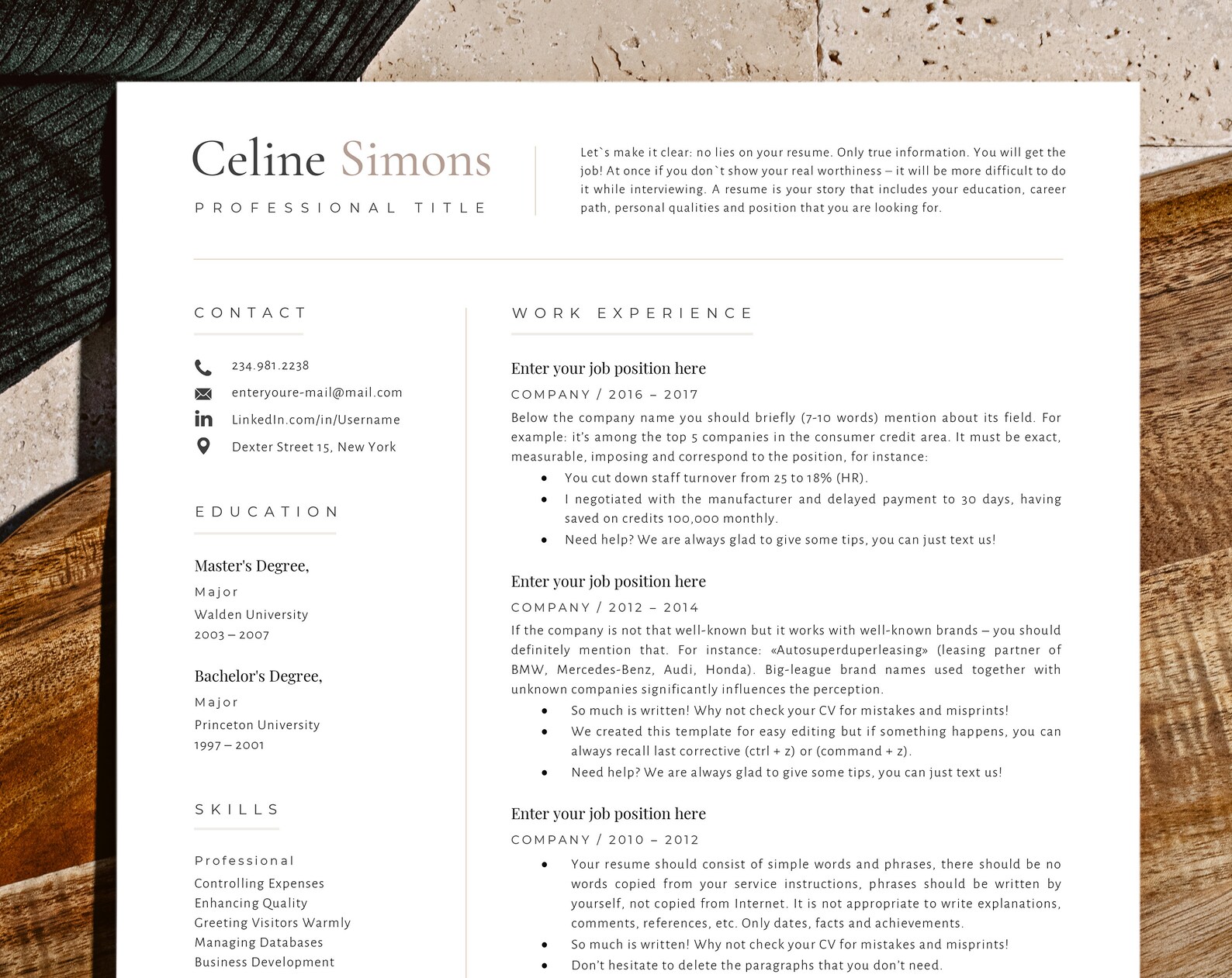 One Page Resume Template Google Docs Mac Pages Word Cv - Etsy