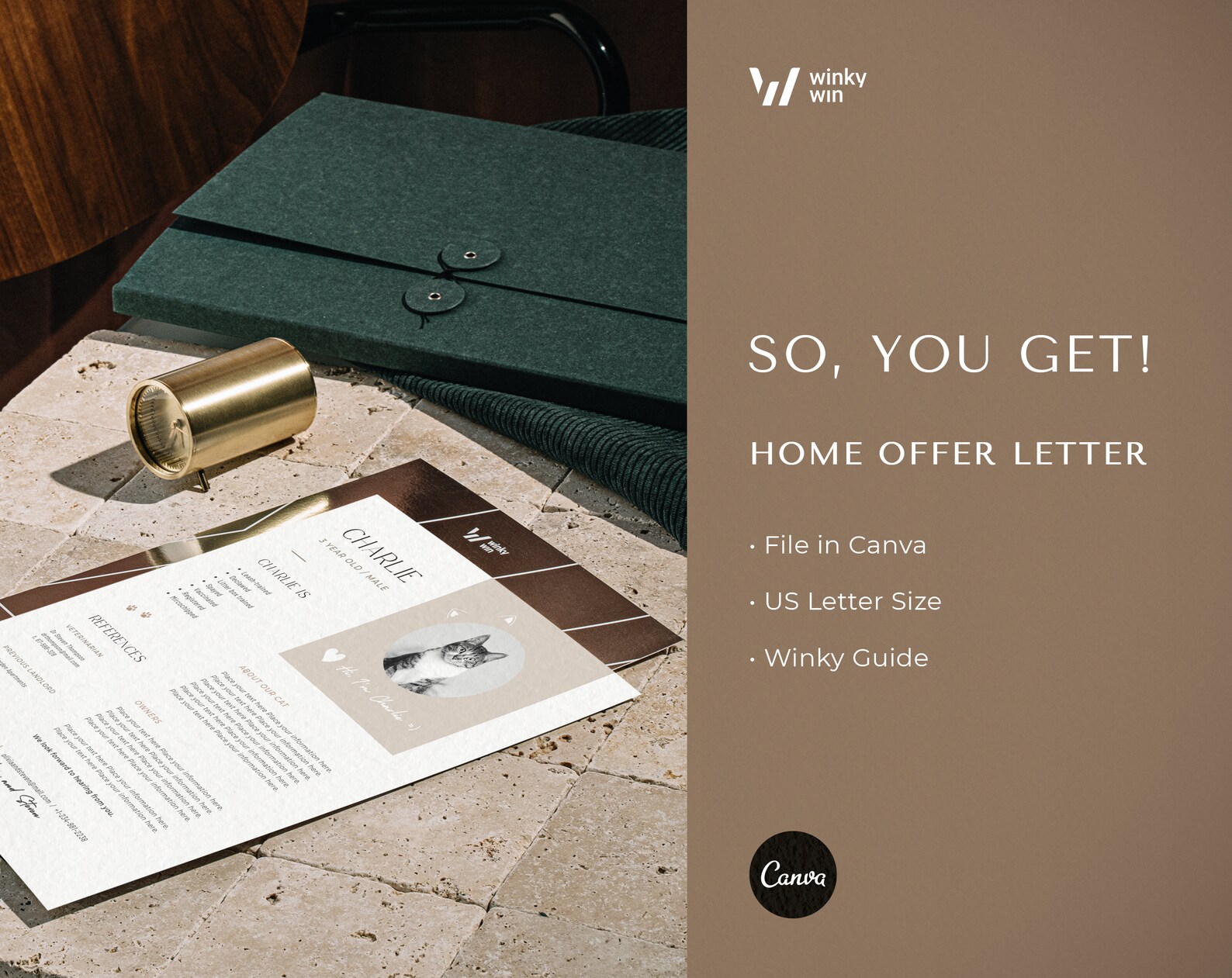 Cat Resume for Rental Writing Cat Bios Cat Adoption Ads Cat - Etsy