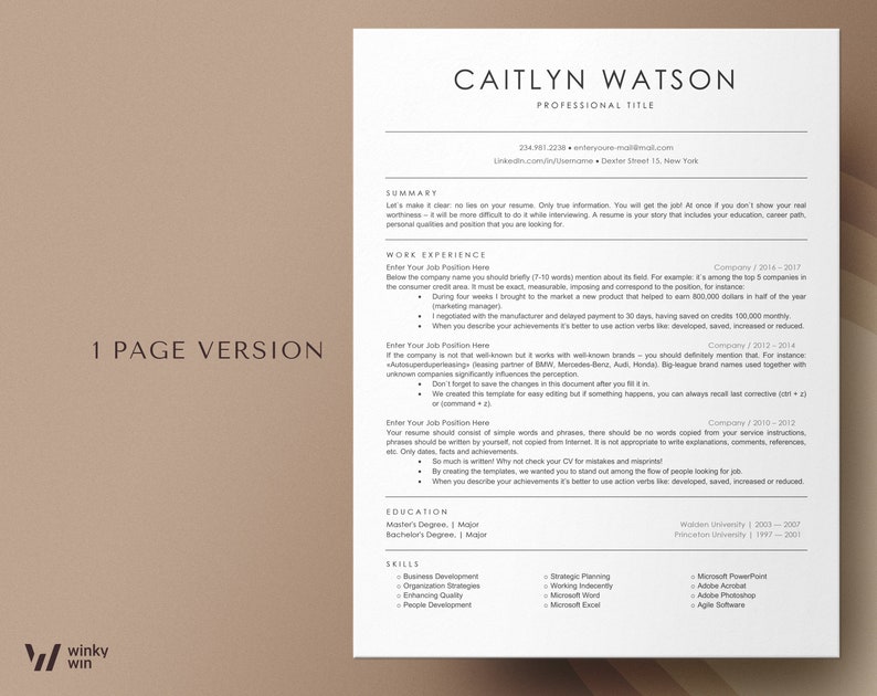 ATS Friendly Resume Template, Executive ATS Resume Template Word, Mac ...