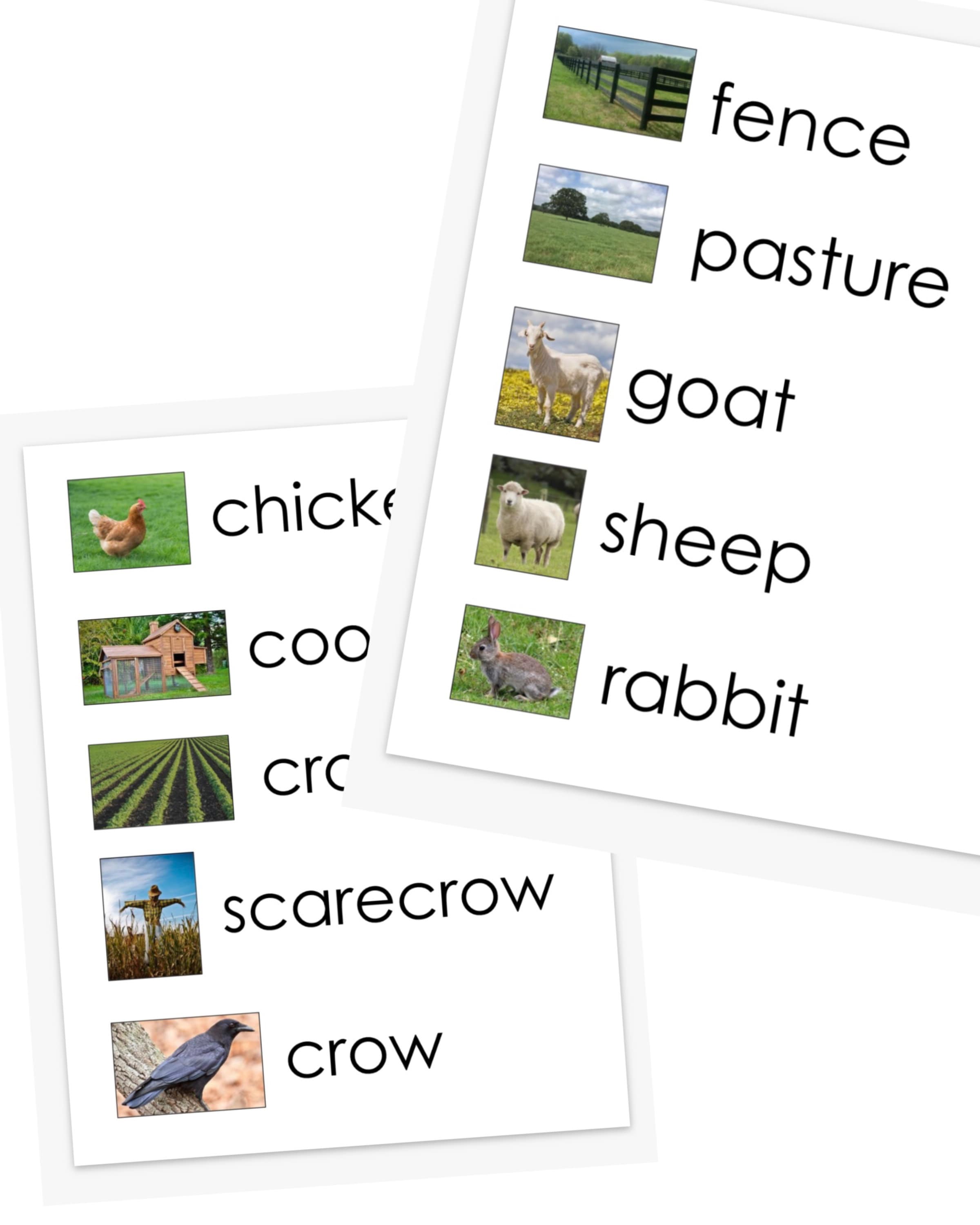 30 Farm Words Real Photos Animals Word Wall PreK Preschool | Etsy