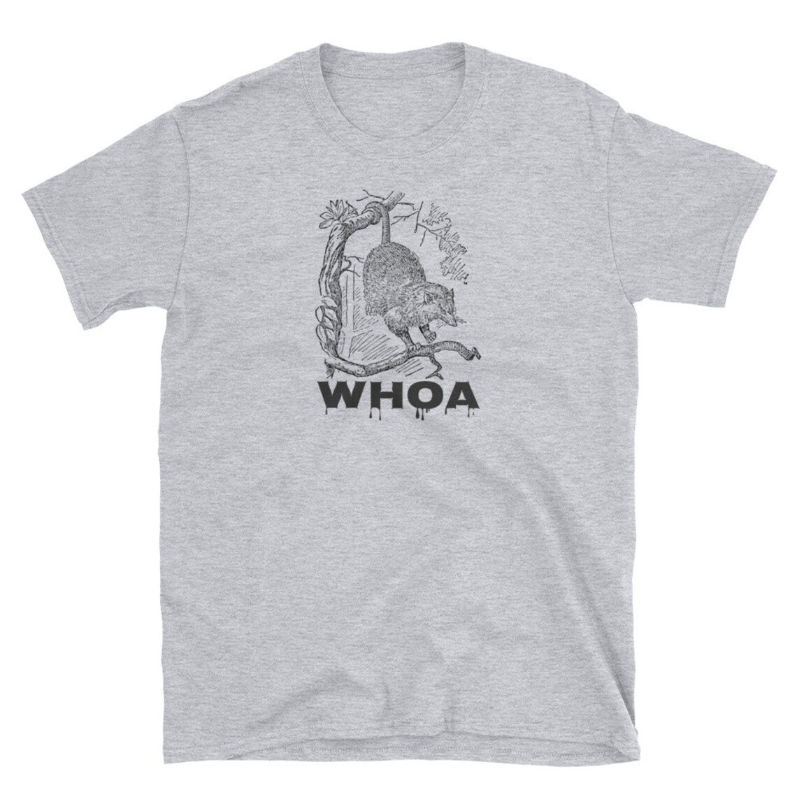 Phish / Possum / Whoa T-shirt - Etsy