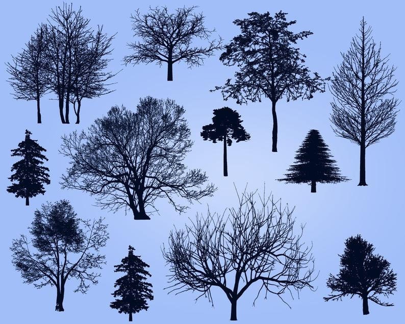 Procreate Bundle Procreate Tree Brushes Procreate Bushes - Etsy