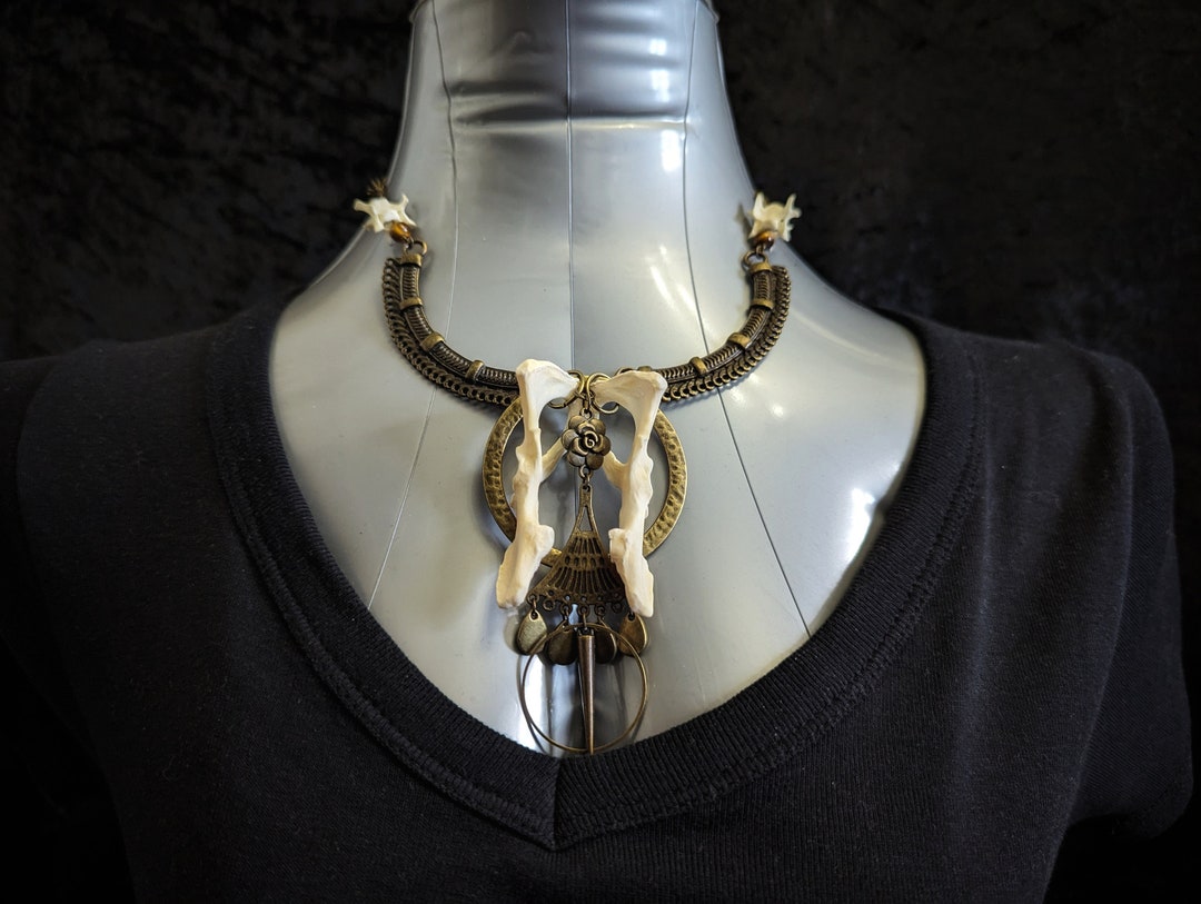 Bone Necklace : Fox Pelvis, Real Animal Bones Necklace, Taxidermy ...