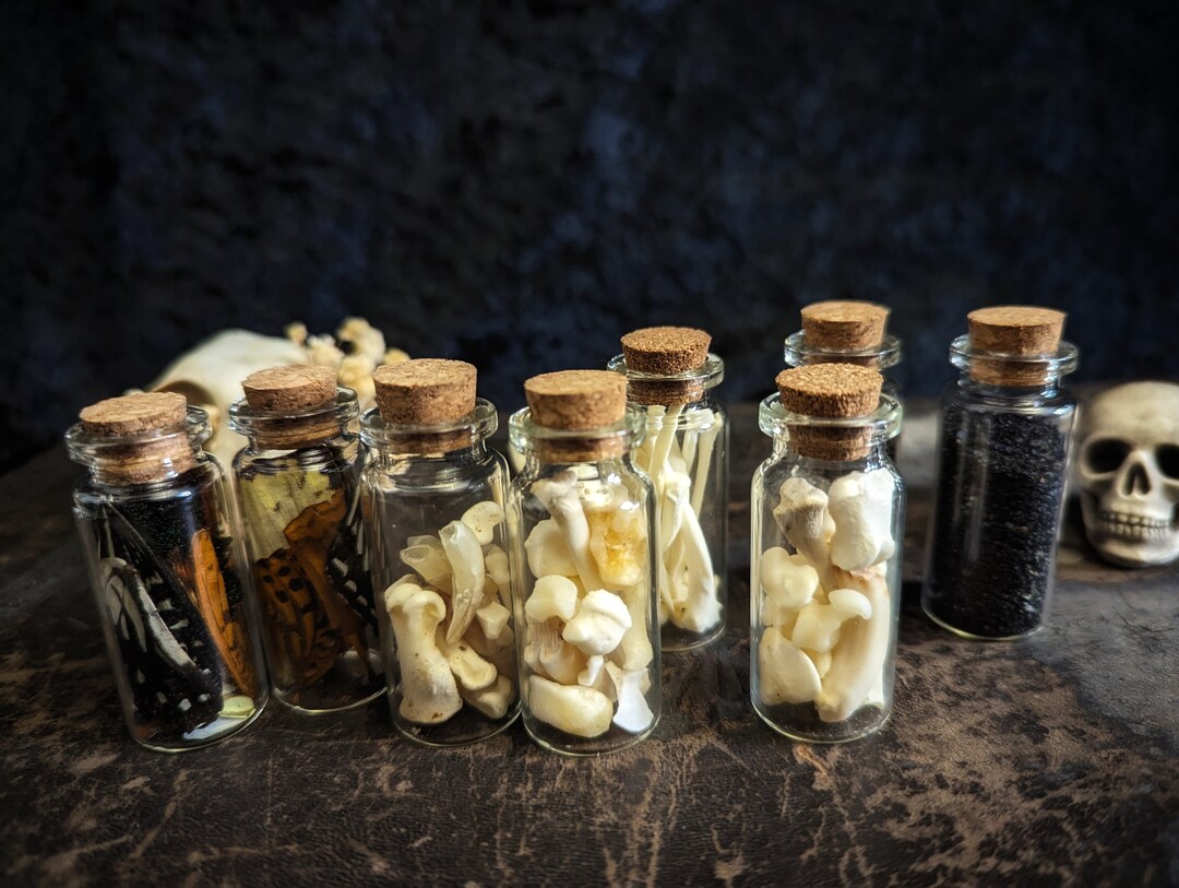 CURIO VIAL (singles) : Real Bones, Animal Bones, Fox Claws, Witchcraft ...