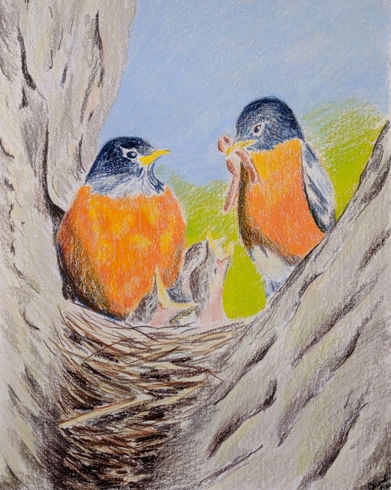 Mother Robin Feeding Babies Art Print Robin's Nest by | Etsy