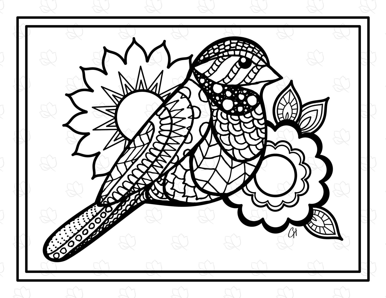 2 Printable Coloring Pages | Cat & Bird | Digital Download - Etsy