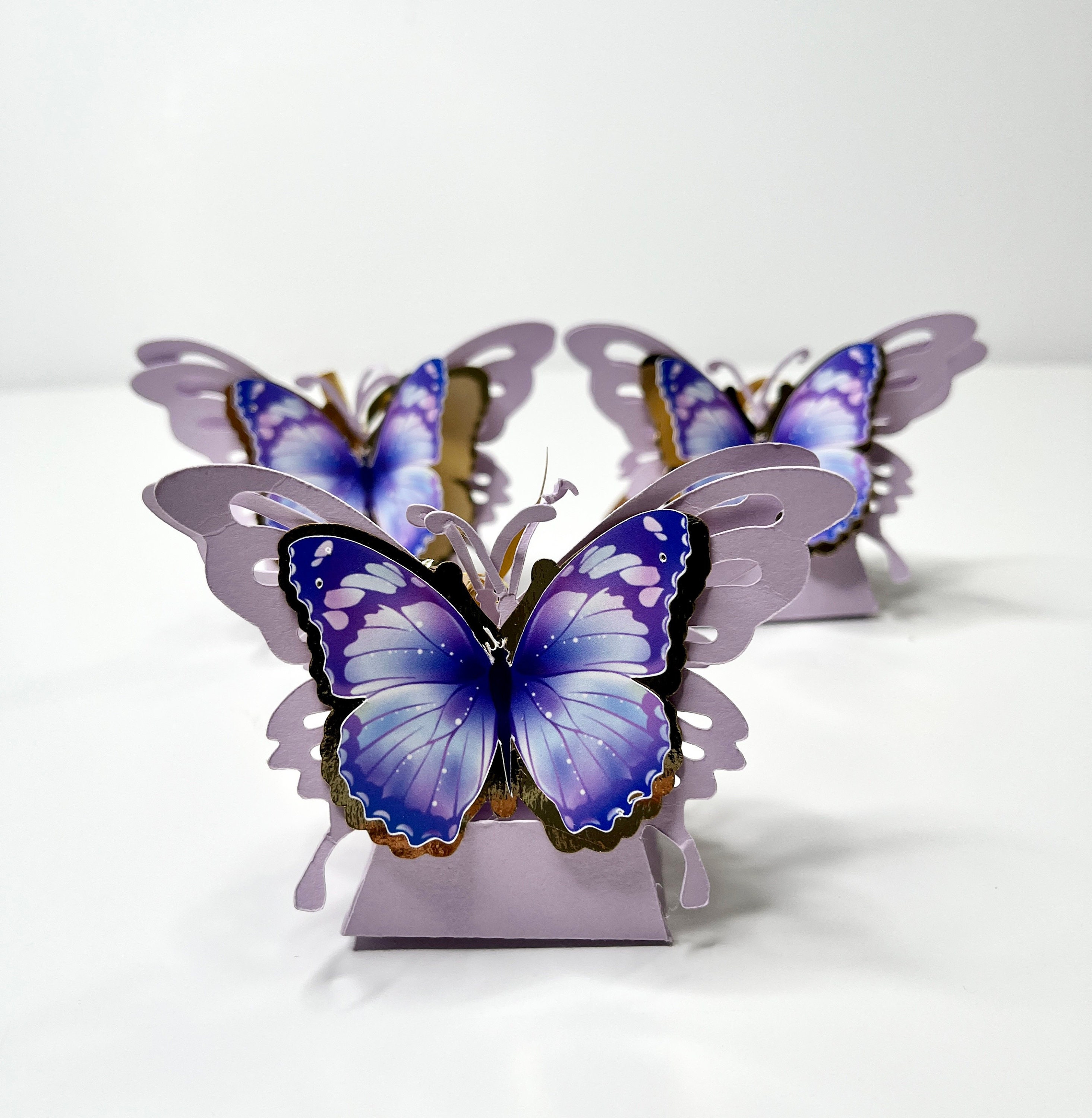 Butterfly Boxes Butterfly Favor Box Party Favor Boxes - Etsy
