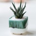 Small Ceramic Watercolour Planter Emerald 2 Inch Pot White - Etsy