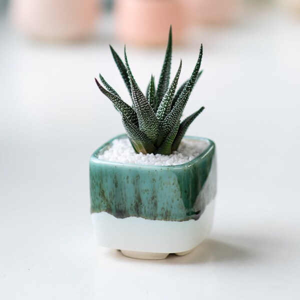 Small Ceramic Planter - Etsy