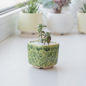 Lime and Green Succulent Pot Cute Plant Pot 2 Inch Ceramic - Etsy