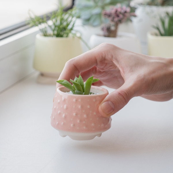 Ceramic Bubble Pot - Etsy