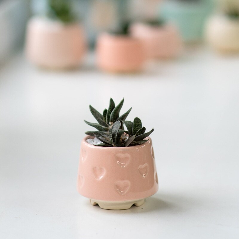 Heart Flower Pot - Etsy