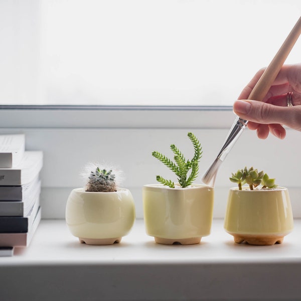 Succulent Pots Set - Etsy