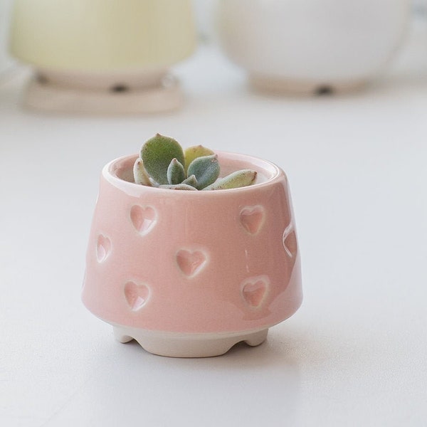 Mini Clay Pots - Etsy