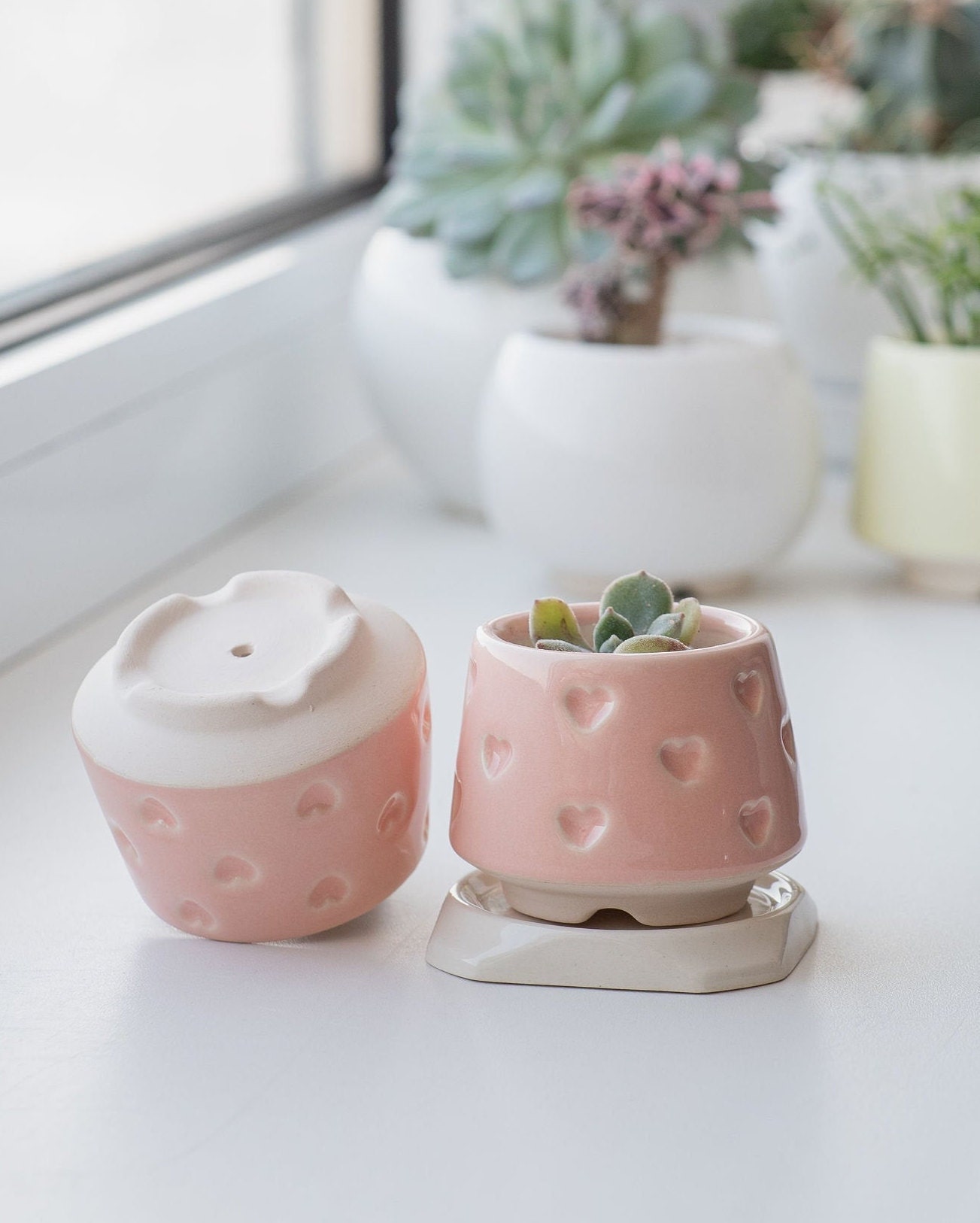 Pink Mini Succulent Planter With Hearts Rose Little Pot Cute - Etsy
