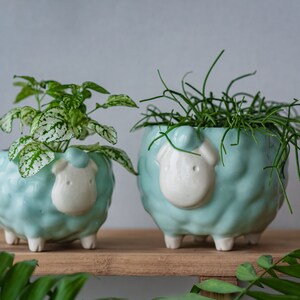 Sheep Ceramic Plant Pot, Green Animal Planter, Small Plant Pot, Cute ...
