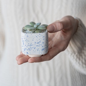 White and Blue Succulent Pot M Size, Ceramic Planter for Succulent ...