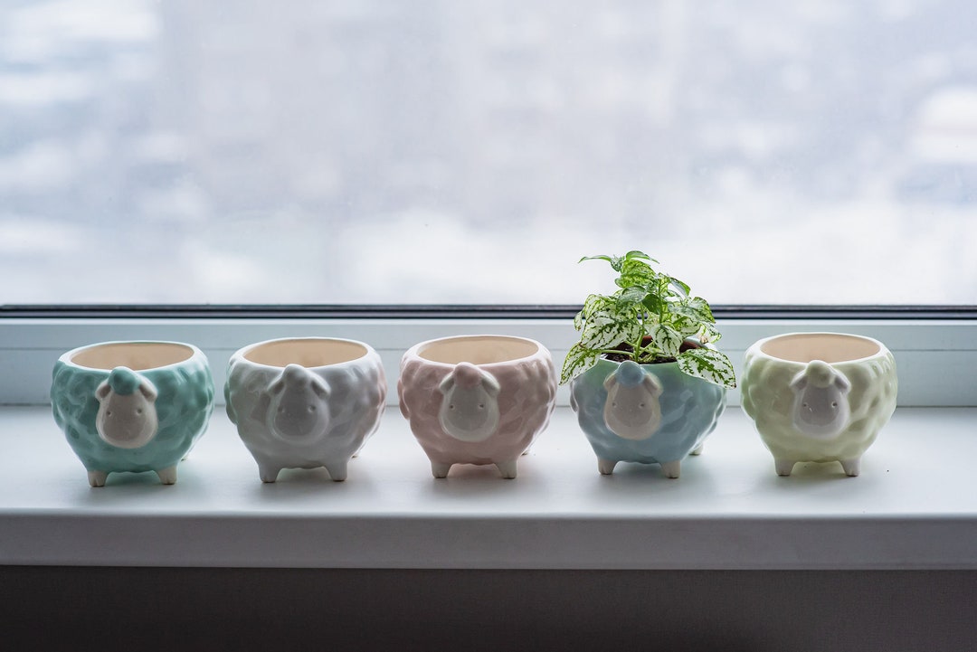 Set of Five Small Sheep Pots, Plant Your Plants With Sheep - Etsy