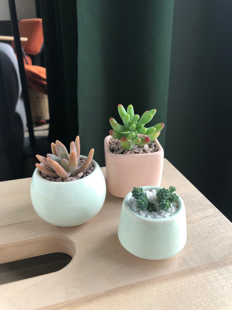 Rose Pink Small Plant Pot M size Set of 3 Ceramic | Etsy