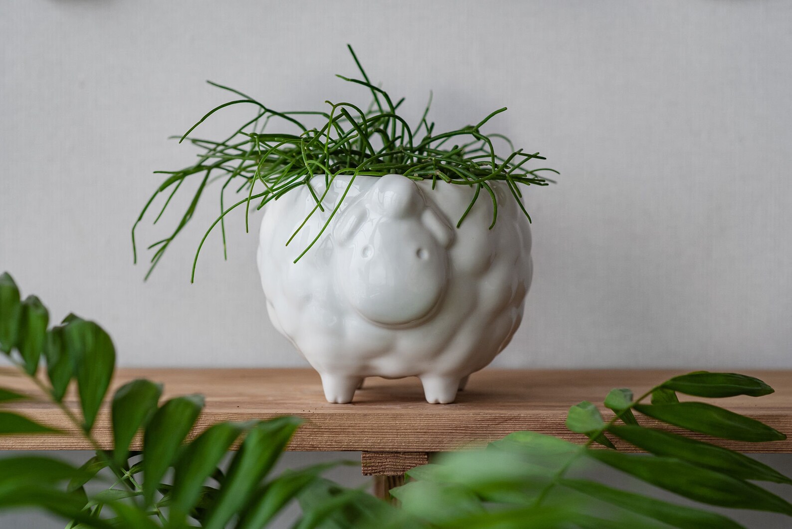 Succulent Medium Plant Pot // Ceramic Planter Gift // Mom - Etsy