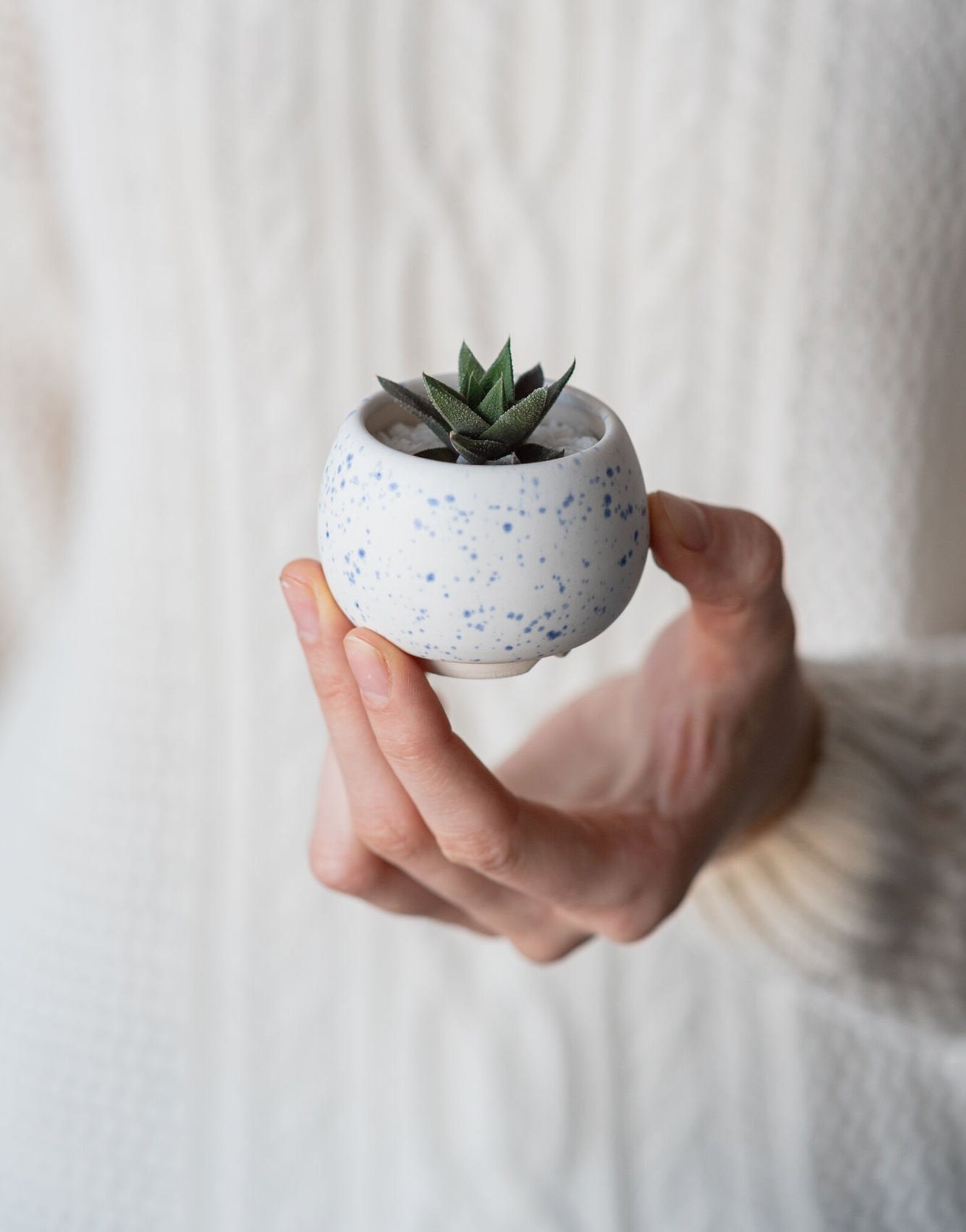 White and Blue Succulent Pot M Size Ceramic Planter for | Etsy