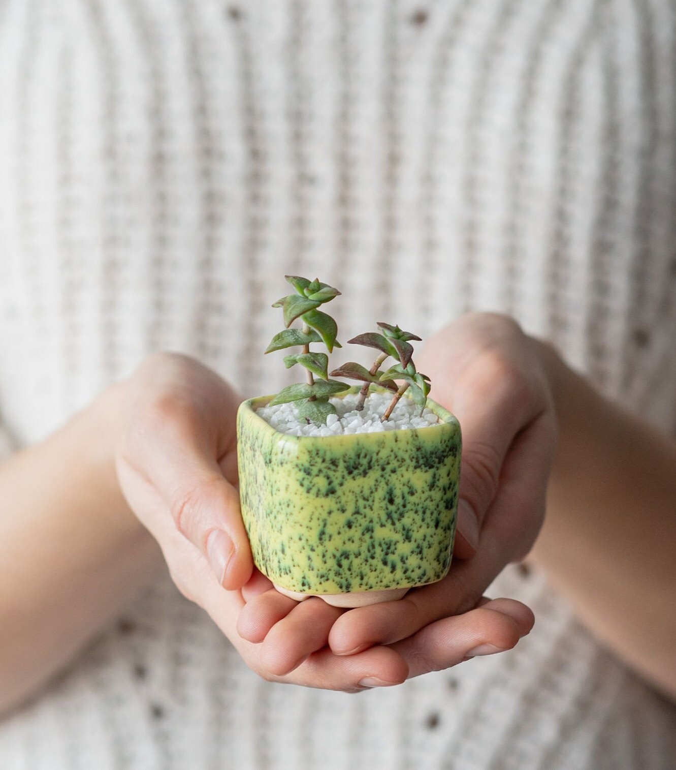 Lime and Green Small Plant Pot Set of 3 Ceramic Planter | Etsy