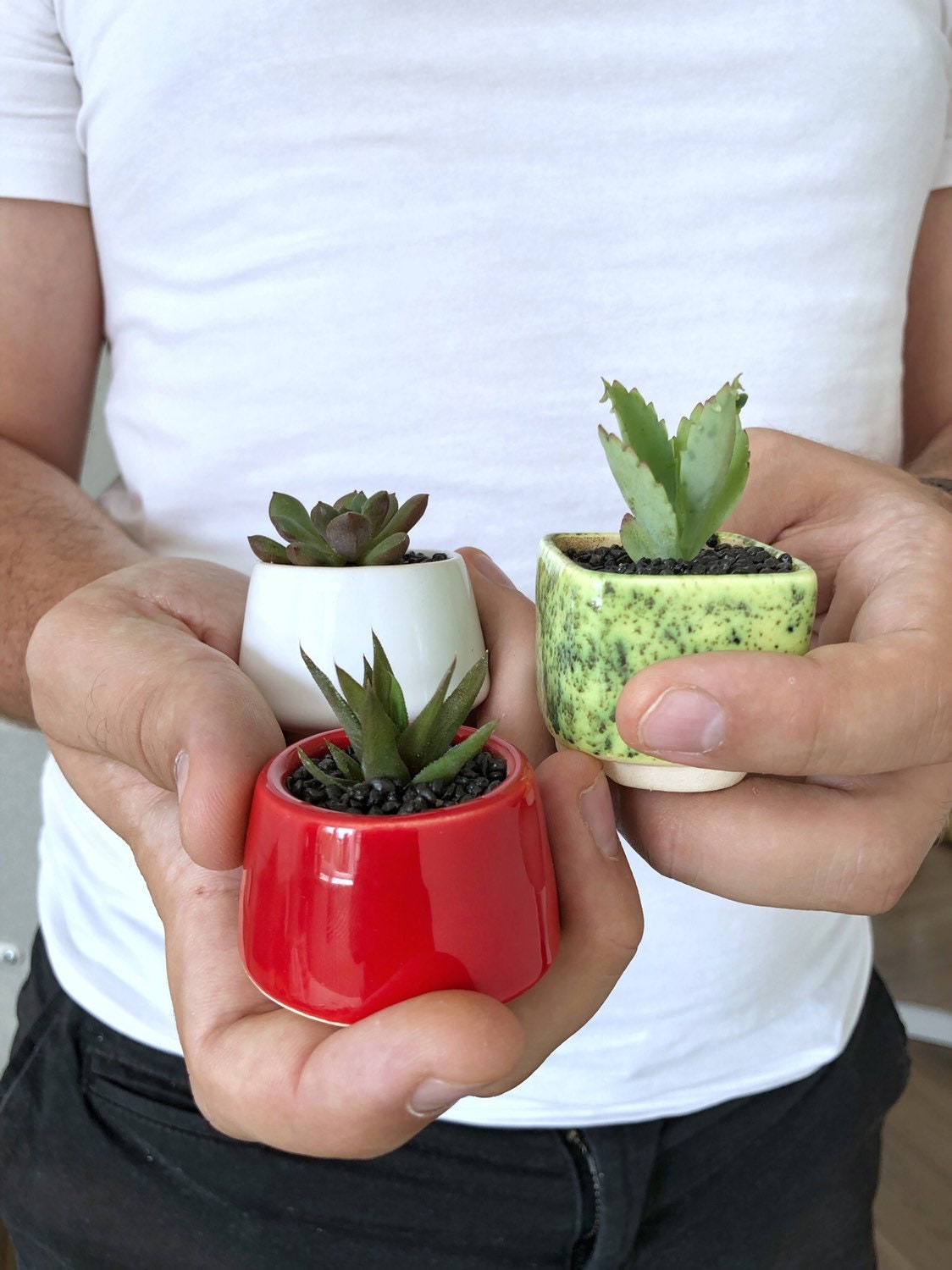 Small Cone Plant Pot S Size for Cactus or Succulent Color Mix | Etsy