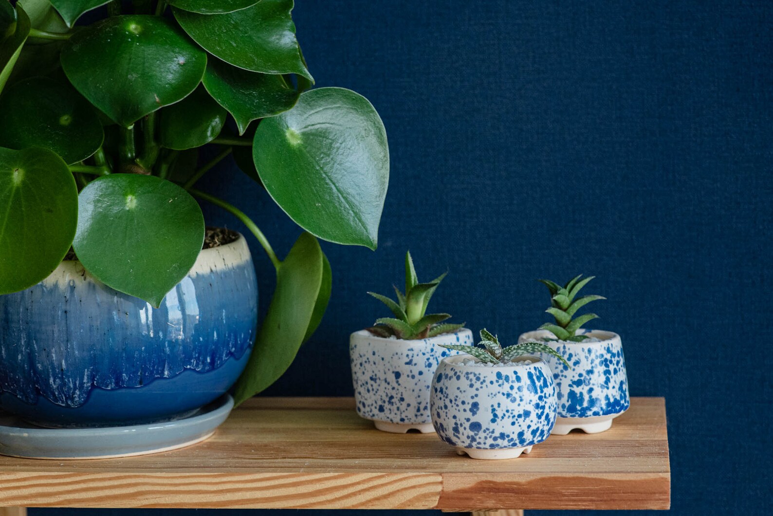 White and Blue Succulent Pot M Size Ceramic Planter for | Etsy