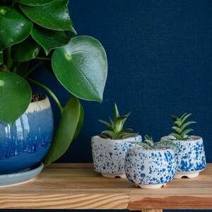 White and Blue Succulent Pot M Size, Ceramic Planter for Succulent ...