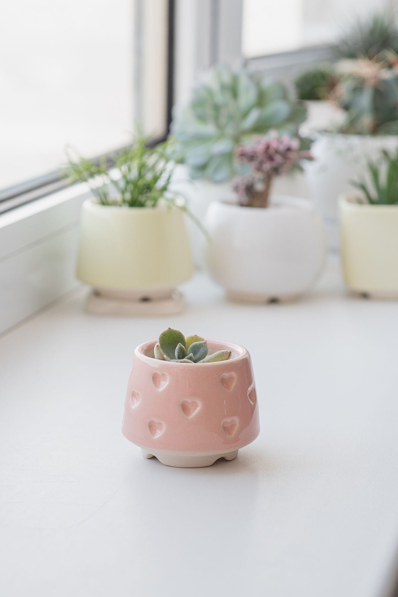 Pink Mini Succulent Planter With Hearts Rose Little Pot Cute - Etsy