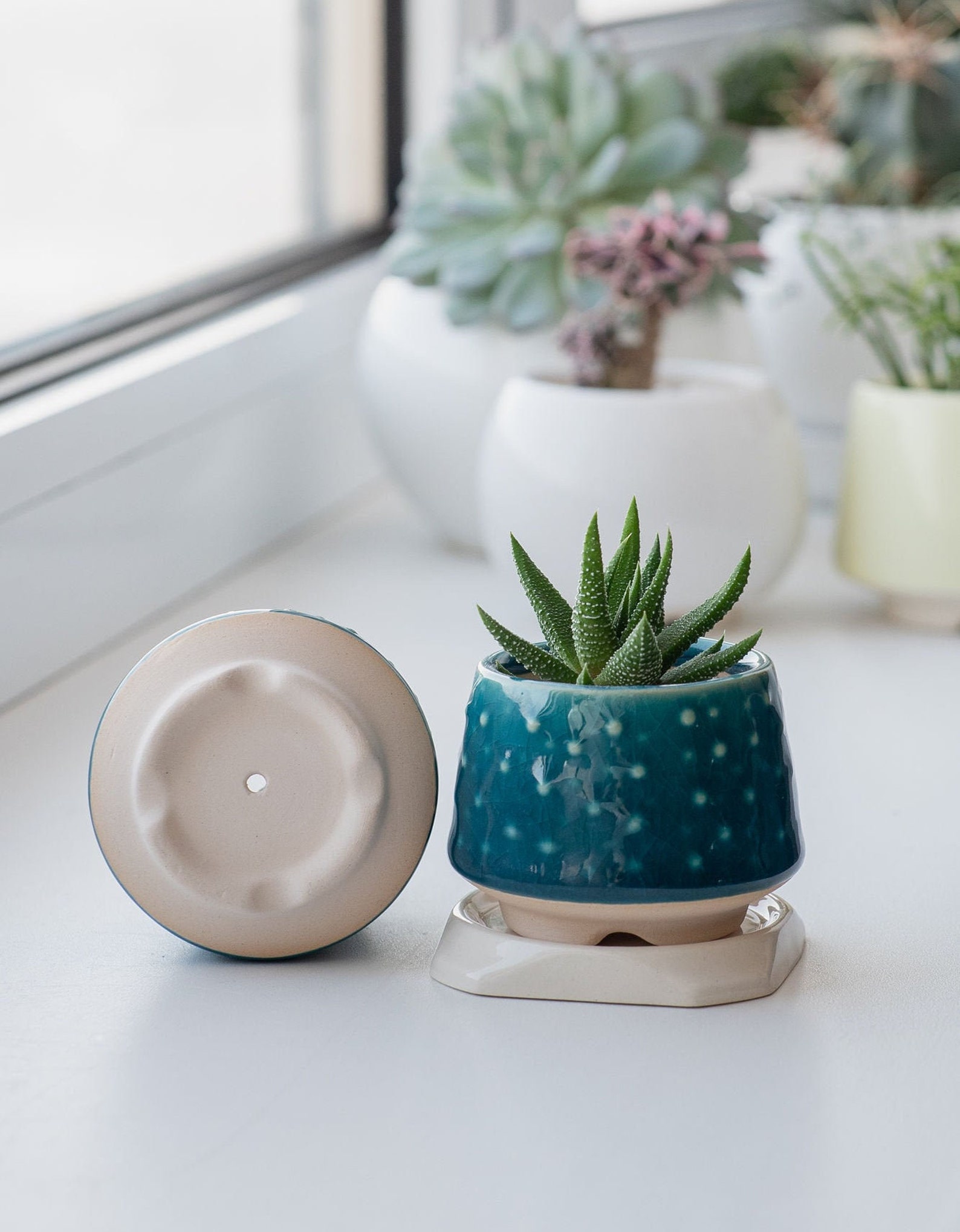 Small Teal Bumpy Succulent Pot Little Planter Handmade - Etsy