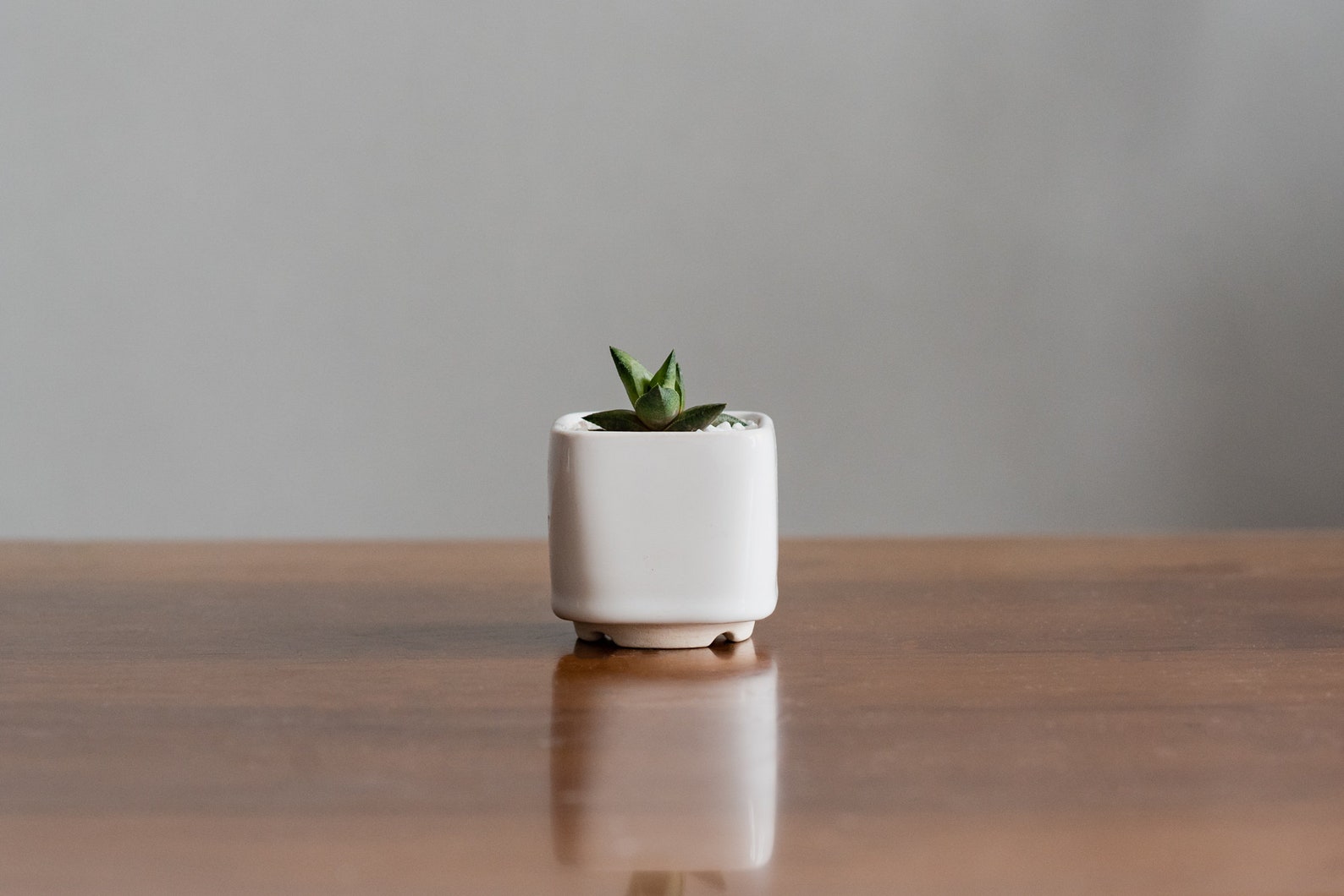 White Small Plant Pot Size M Set of 3 Ceramic Flower - Etsy