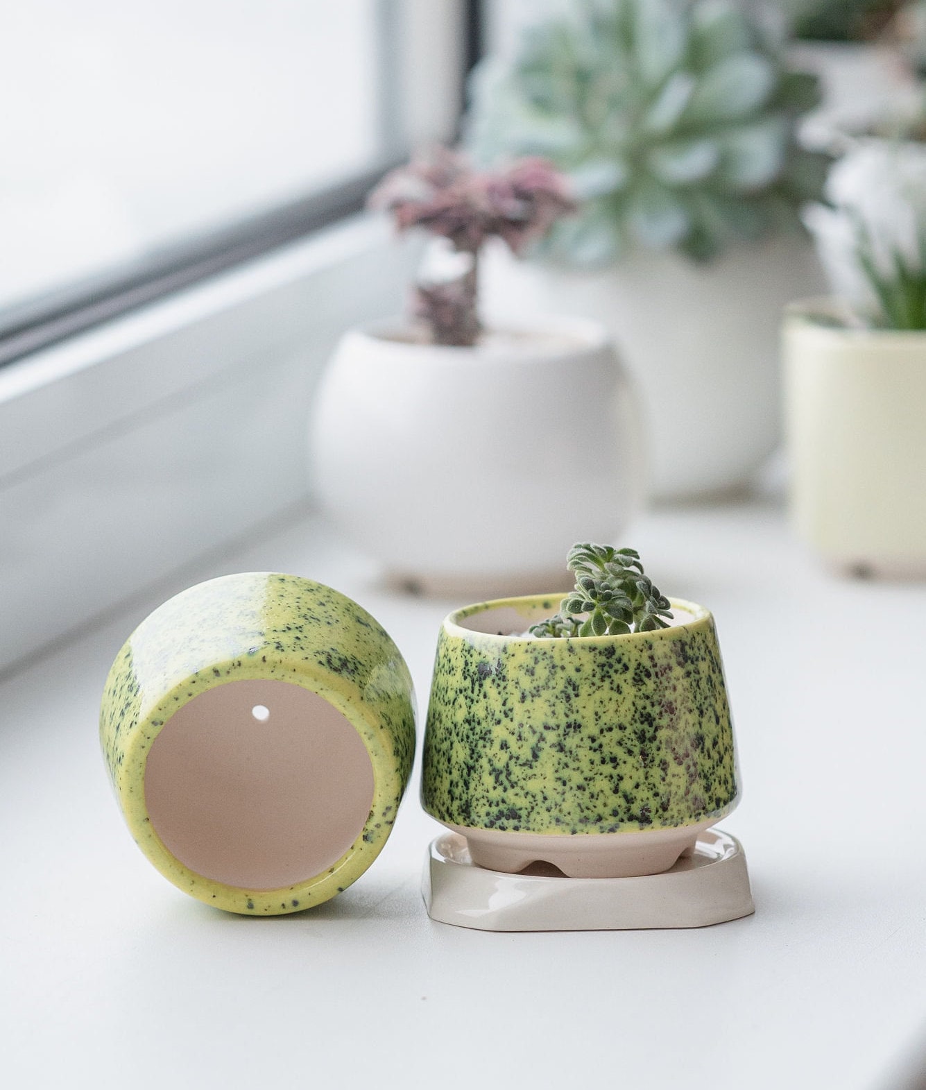 Lime and Green Small Plant Pot Set of 3 Ceramic Planter | Etsy