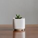 Quadro Mini Plant Pot Classic Color Set Red White Black - Etsy