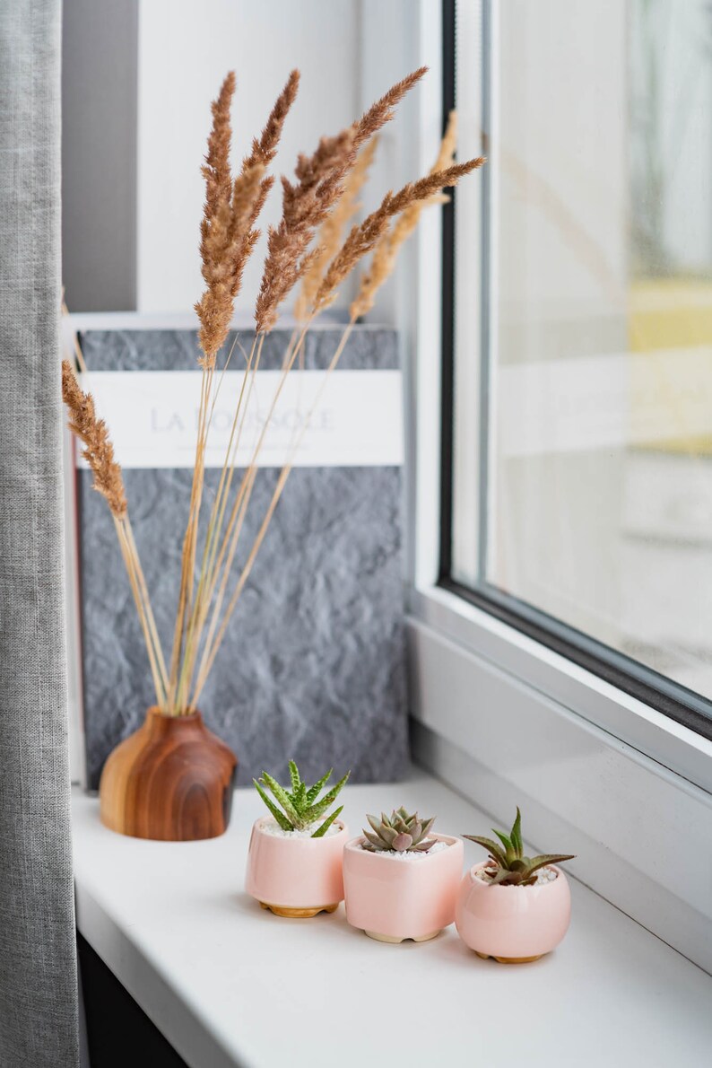 Rose Pink Small Plant Pot M Size Set of 3 Ceramic - Etsy