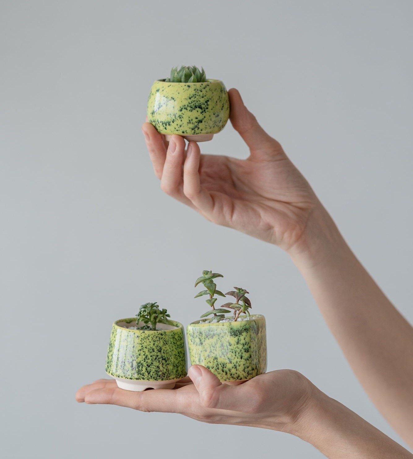 Lime and Green Small Plant Pot Set of 3 Ceramic Planter | Etsy