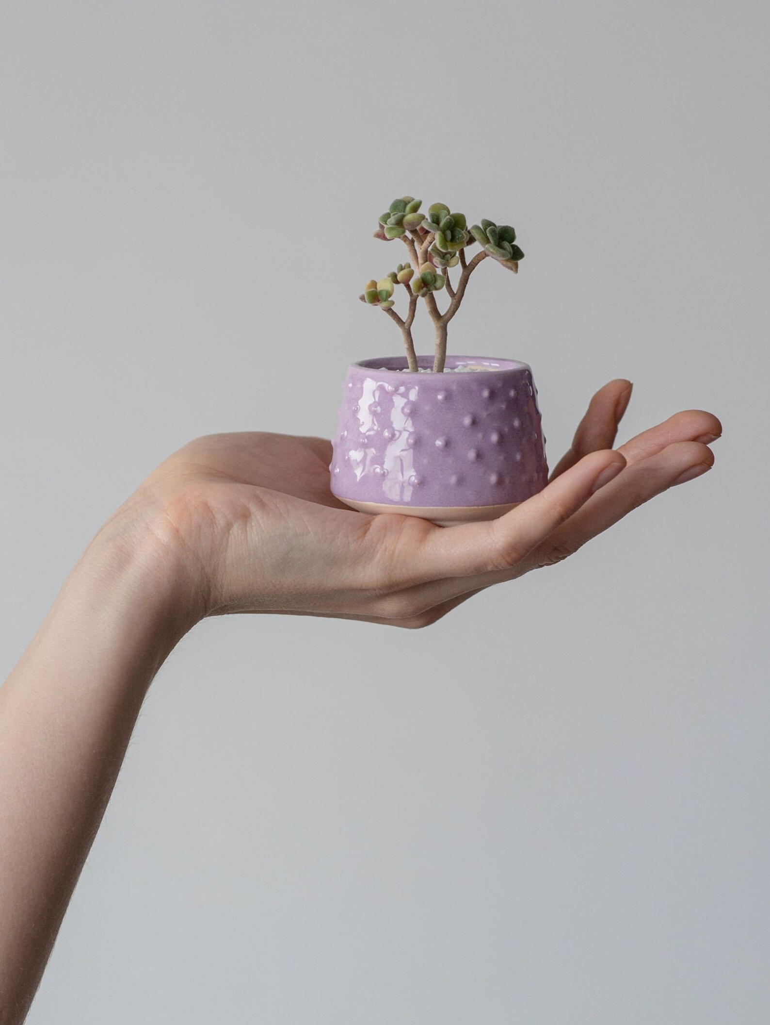 Pink Bubble Succulent Pot Mini Plant Planter Pretty Cactus - Etsy