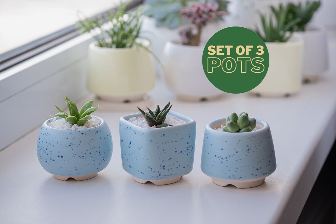 Blue Matte Ceramic Succulent Pots // Set of Cactus Planters // M Size ...